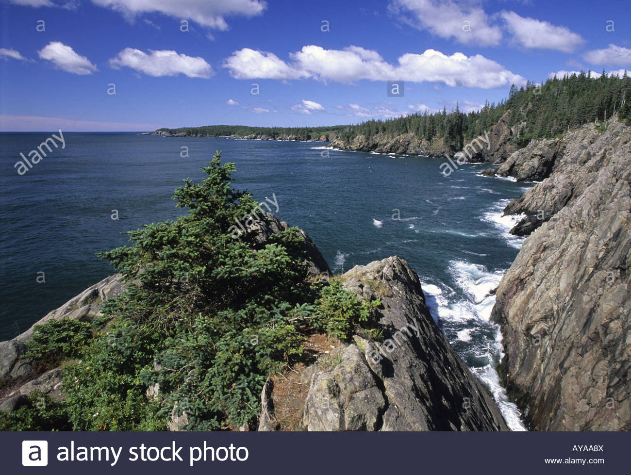 Cutler Maine High Resolution Stock Photography and Images - Alamy