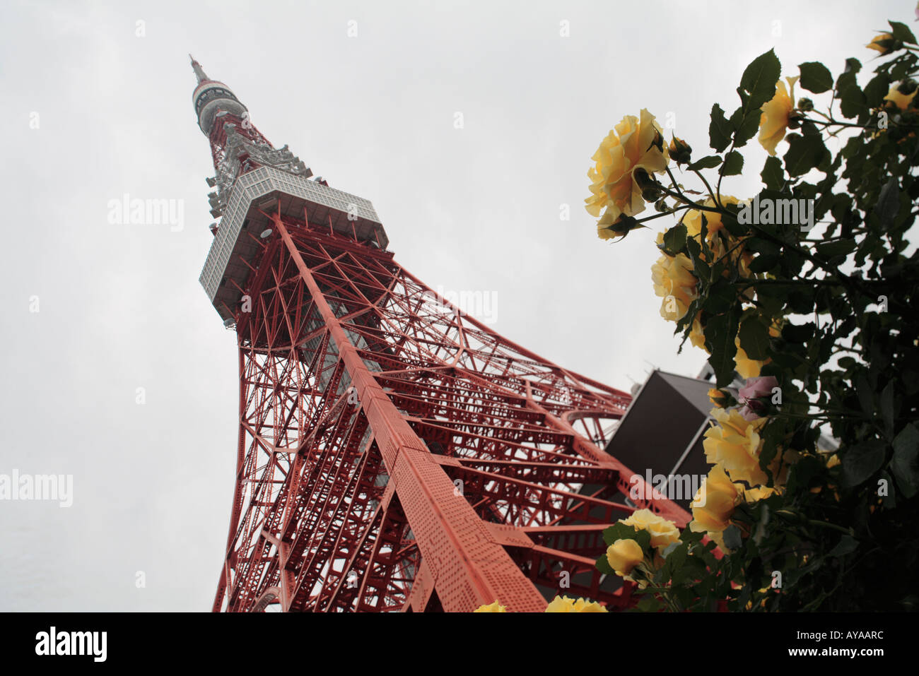 Asia Tokyo Japan Tokyo Tower Stock Photo - Alamy