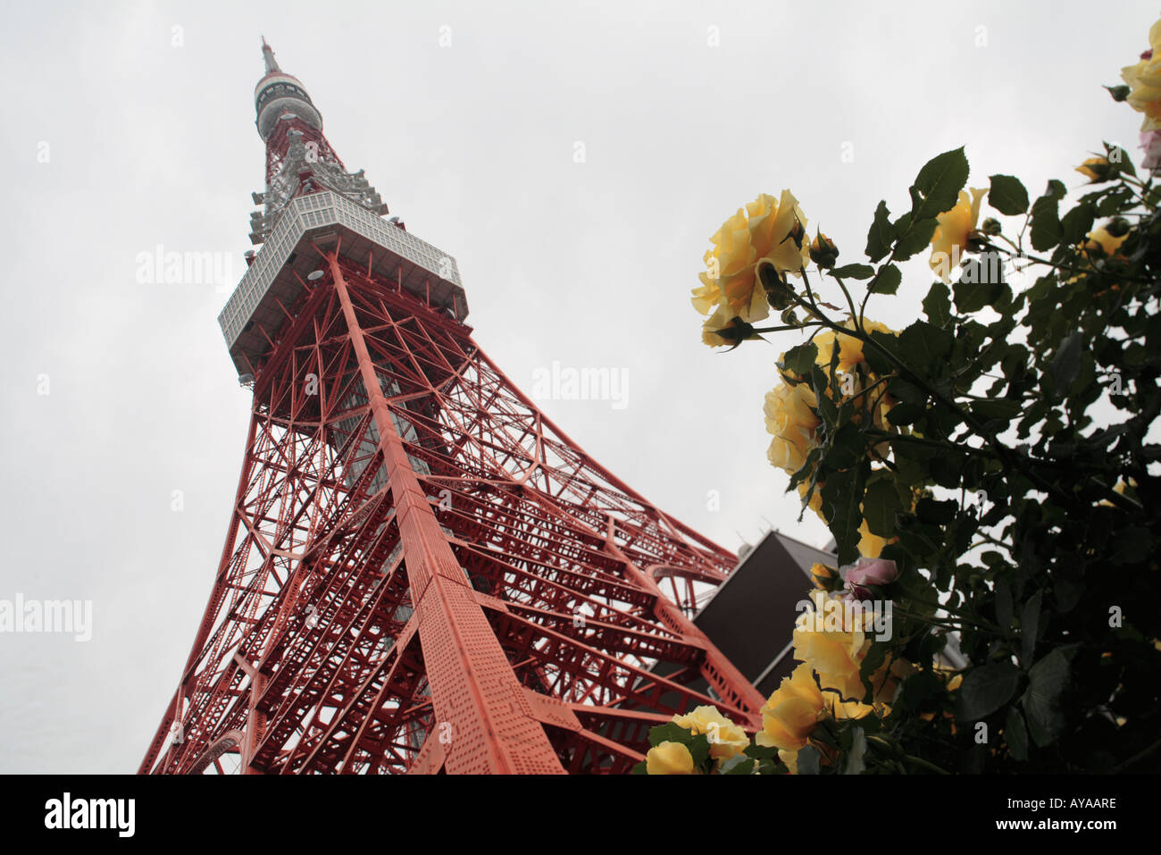 Asia Tokyo Japan Tokyo Tower Stock Photo - Alamy