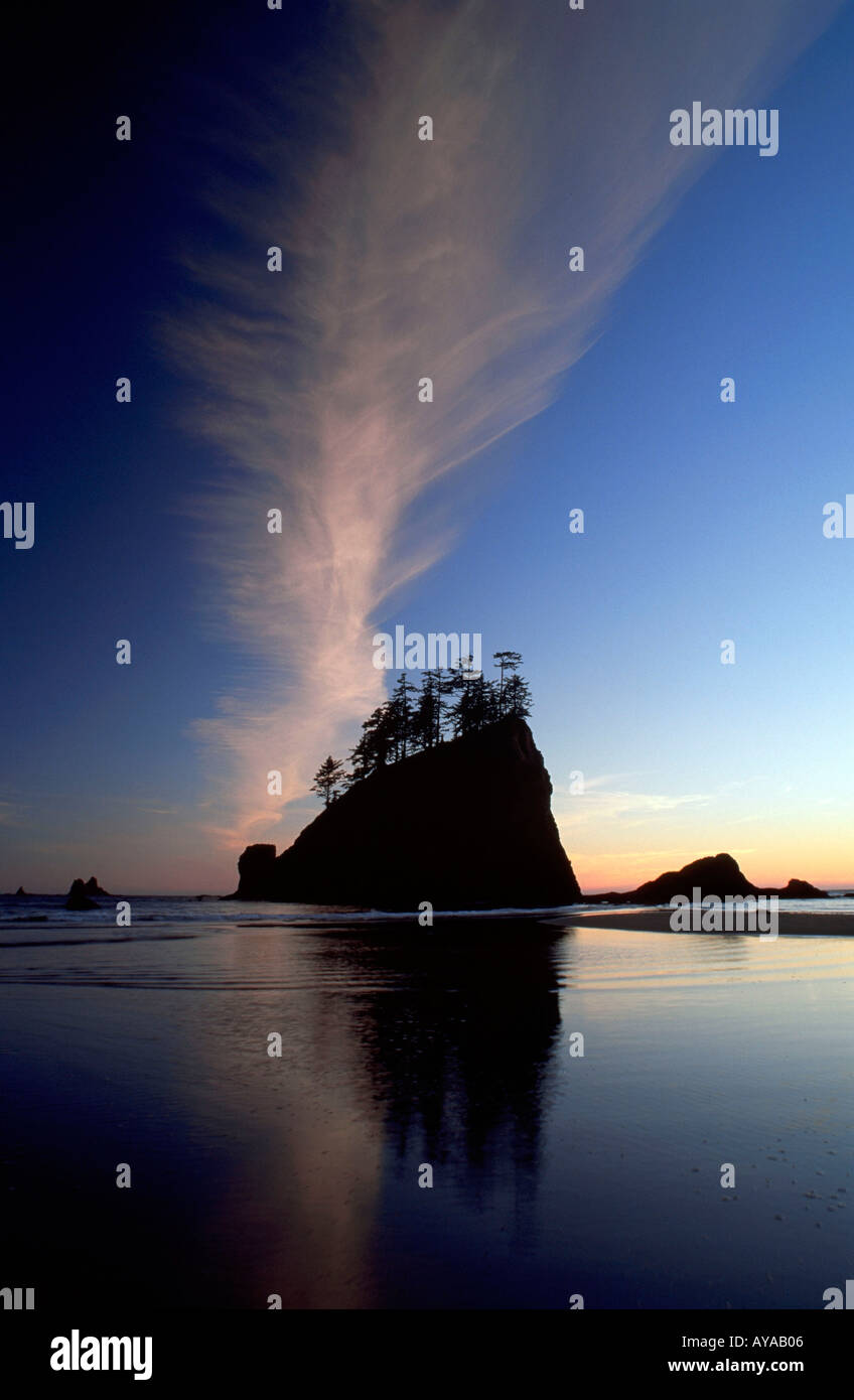 Sea stacks at twilight west coast Olympic national park Washington USA ...