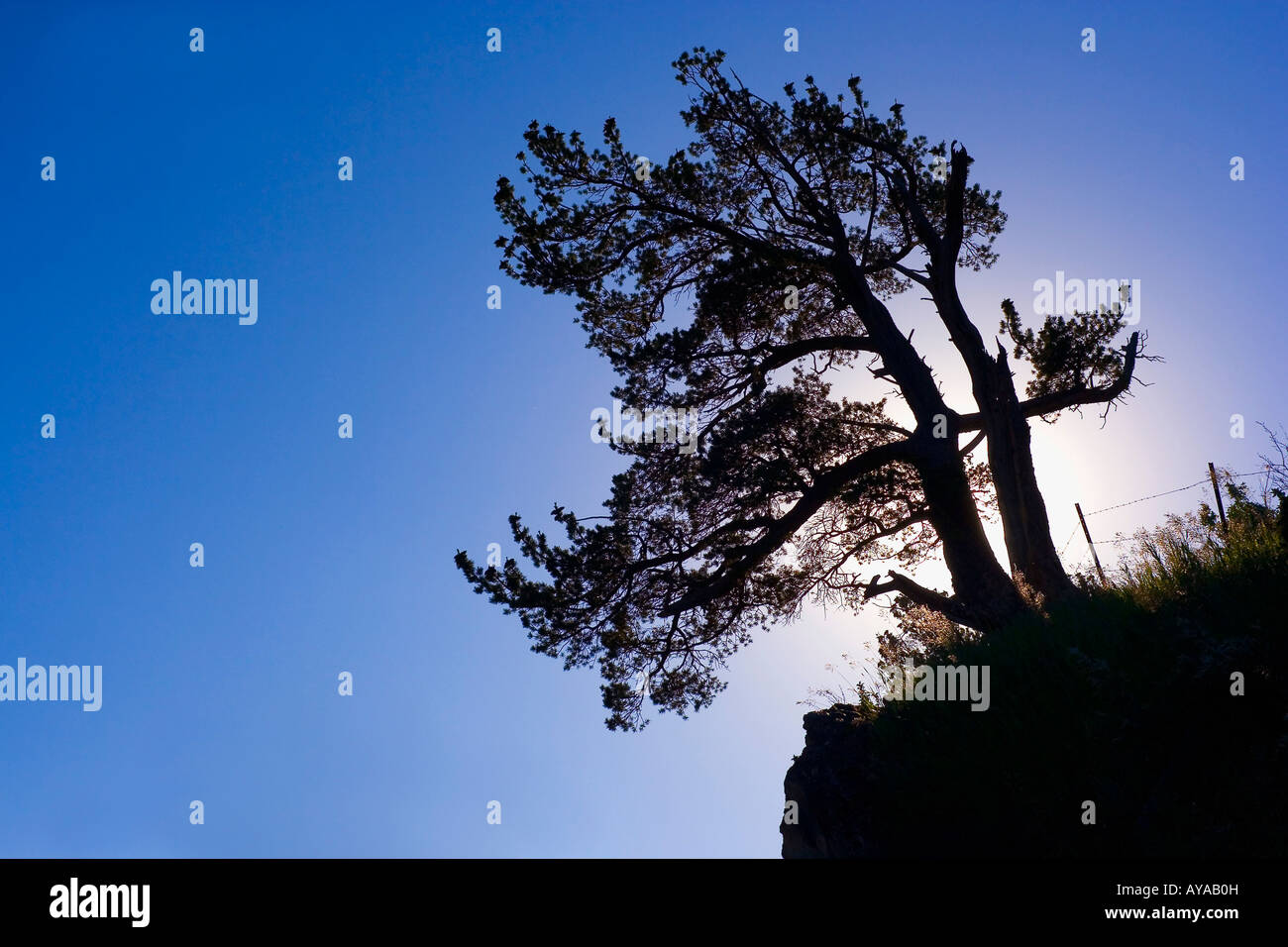 Canmore alberta hi-res stock photography and images - Alamy