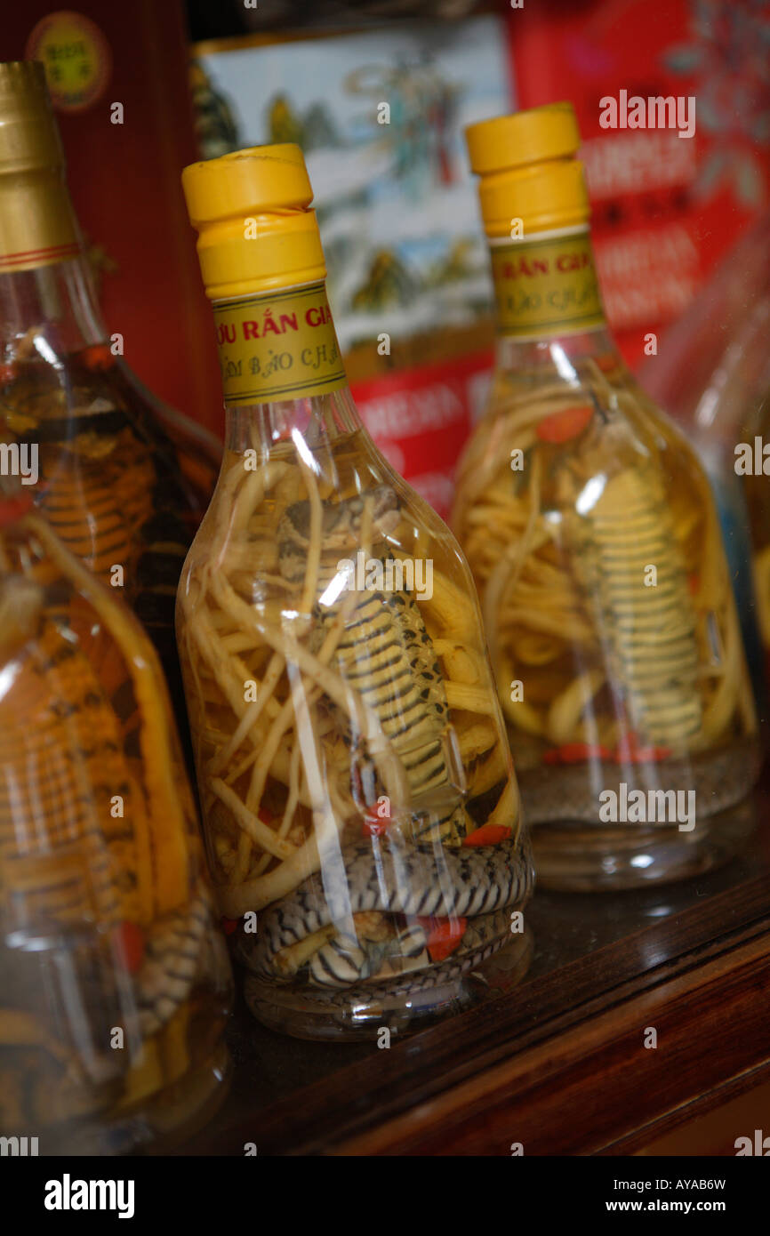 Snake wine/ cobra tonic medicine for sale, Old Quarter, Hanoi, Vietnam ...