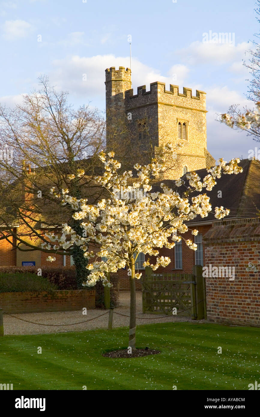 St Peter and St Paul Farningham Kent Stock Photo - Alamy