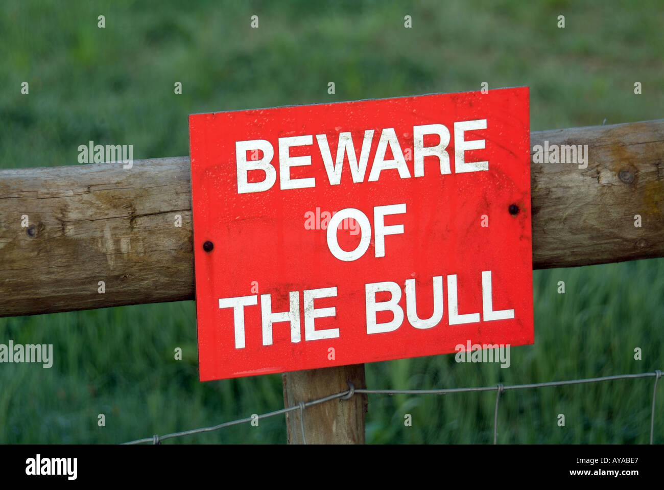 Red and white beware of the bull sign on farm gate Stock Photo - Alamy