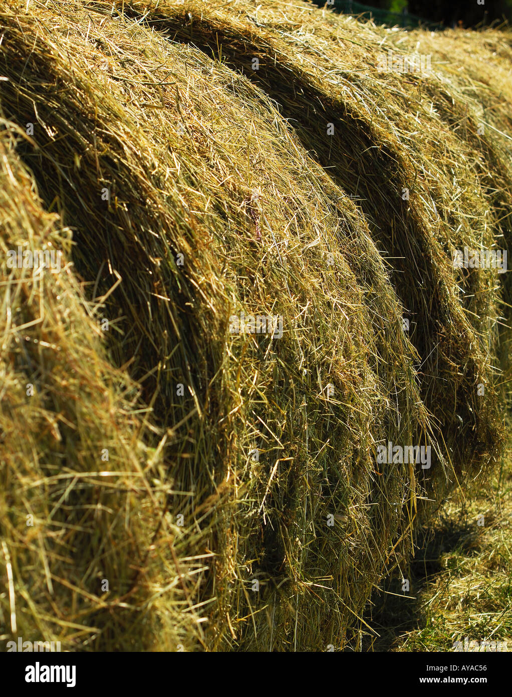 hay bale close up country Stock Photo - Alamy