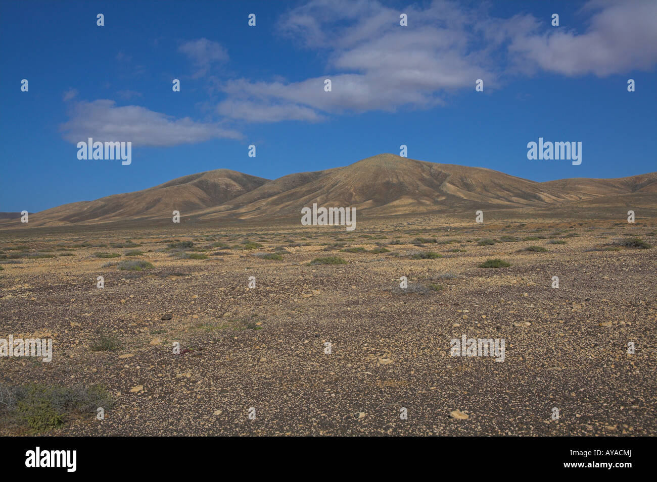 Desert plain hi-res stock photography and images - Alamy