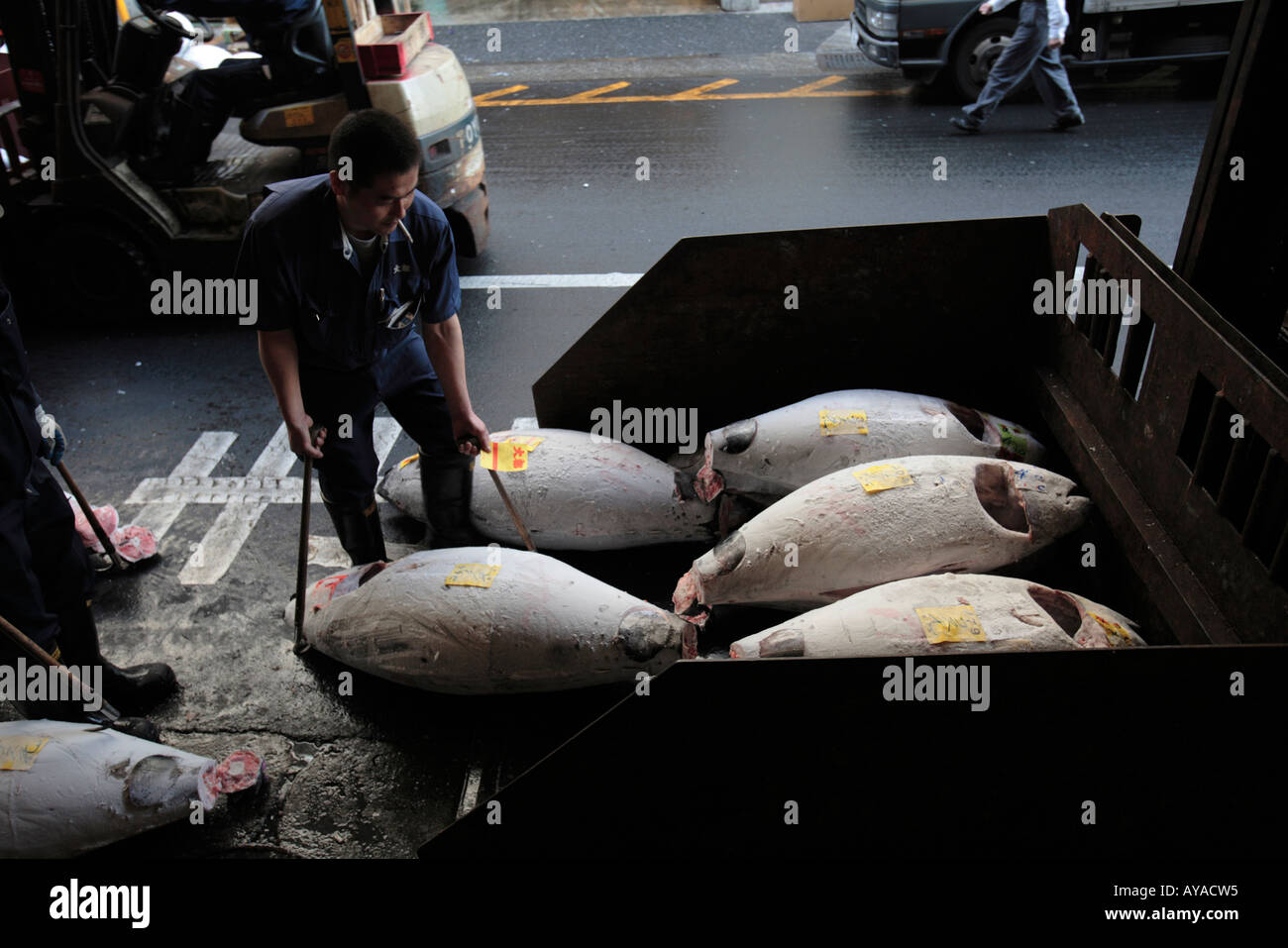 Asia Tokyo Japan Tuna auction at Tsikuju Fish Market before dawn Stock ...