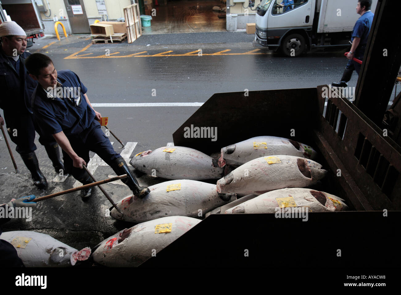 Asia Tokyo Japan Tuna auction at Tsikuju Fish Market before dawn Stock ...