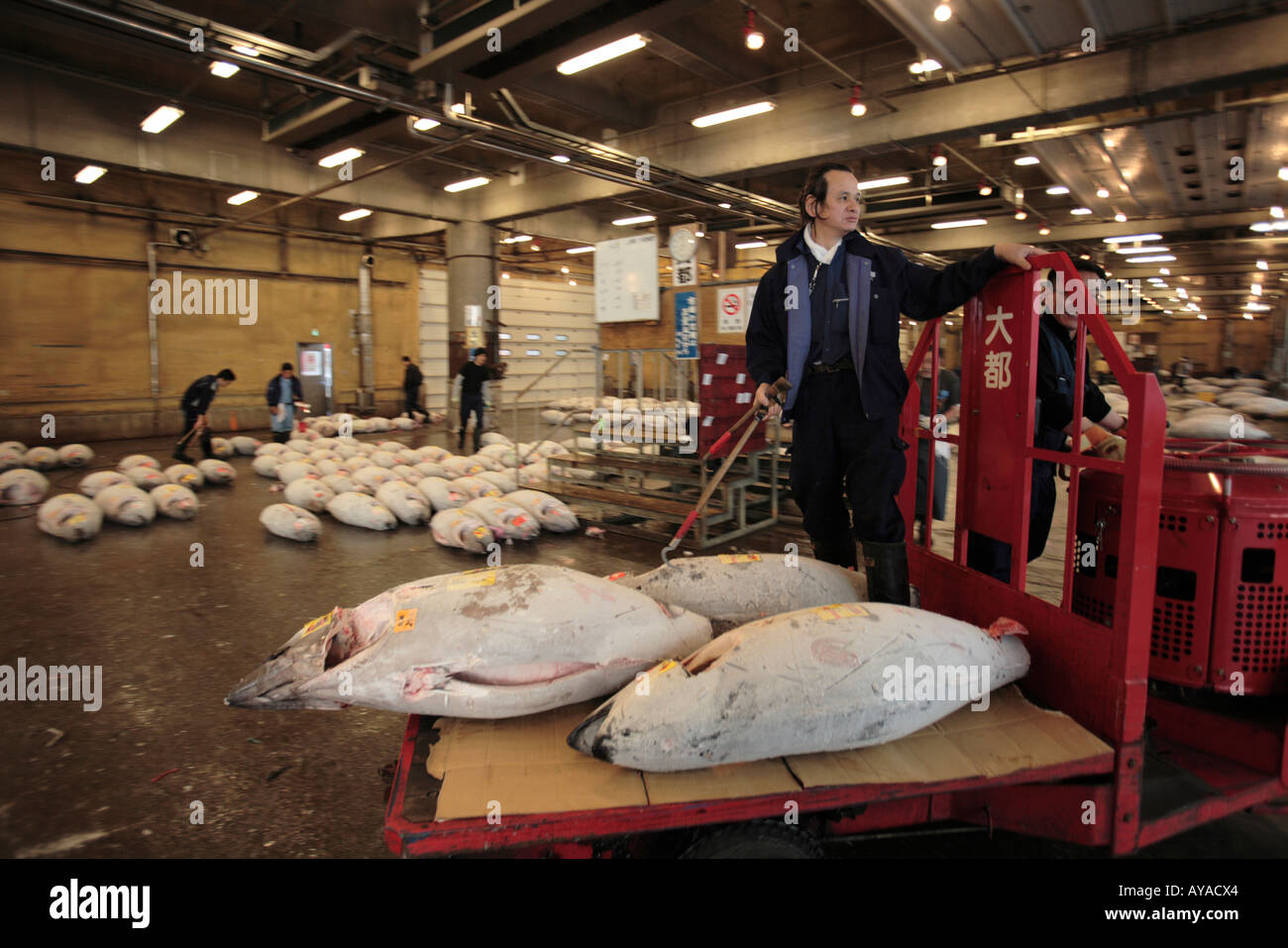 Asia Tokyo Japan Tuna auction at Tsikuju Fish Market before dawn Stock ...