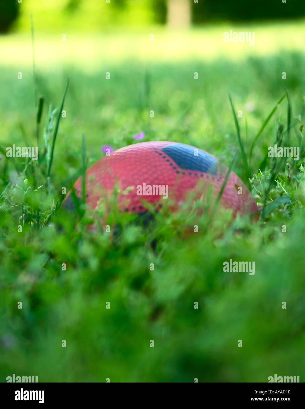 red ball on the grass Stock Photo - Alamy