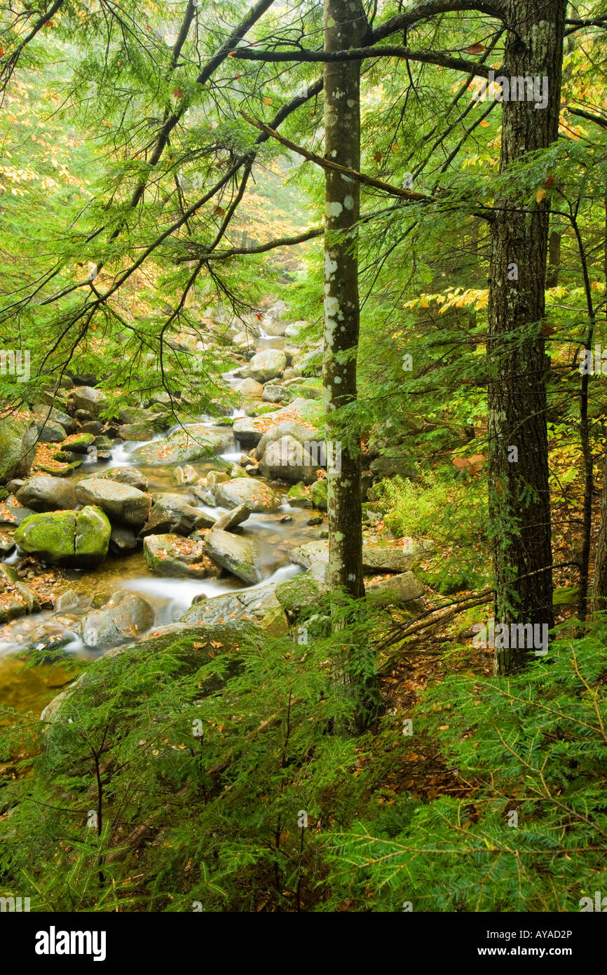 A tributary of the Baker River flows through a hemlock forest in Groton ...