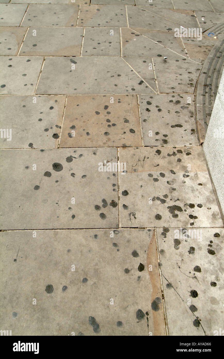 London Westminster chewing gum deposited on pavement slabs Stock Photo ...