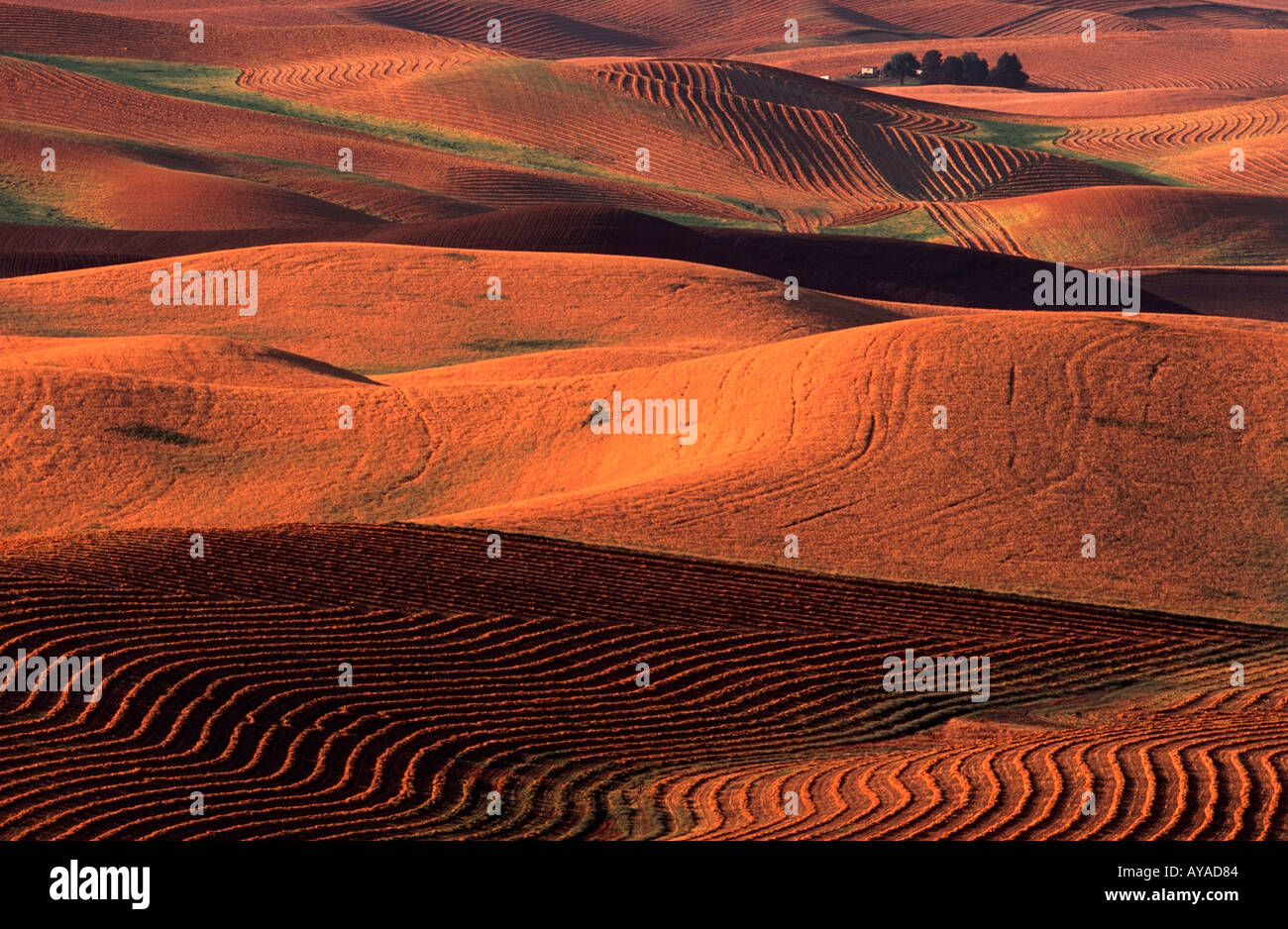 Agrarian Country Palouse Country Washington USA Agrarland Palouse ...