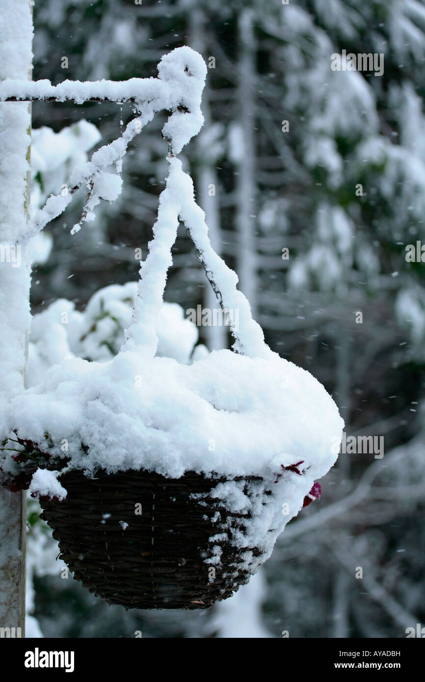 Hanging basket covered in snow Stock Photo - Alamy