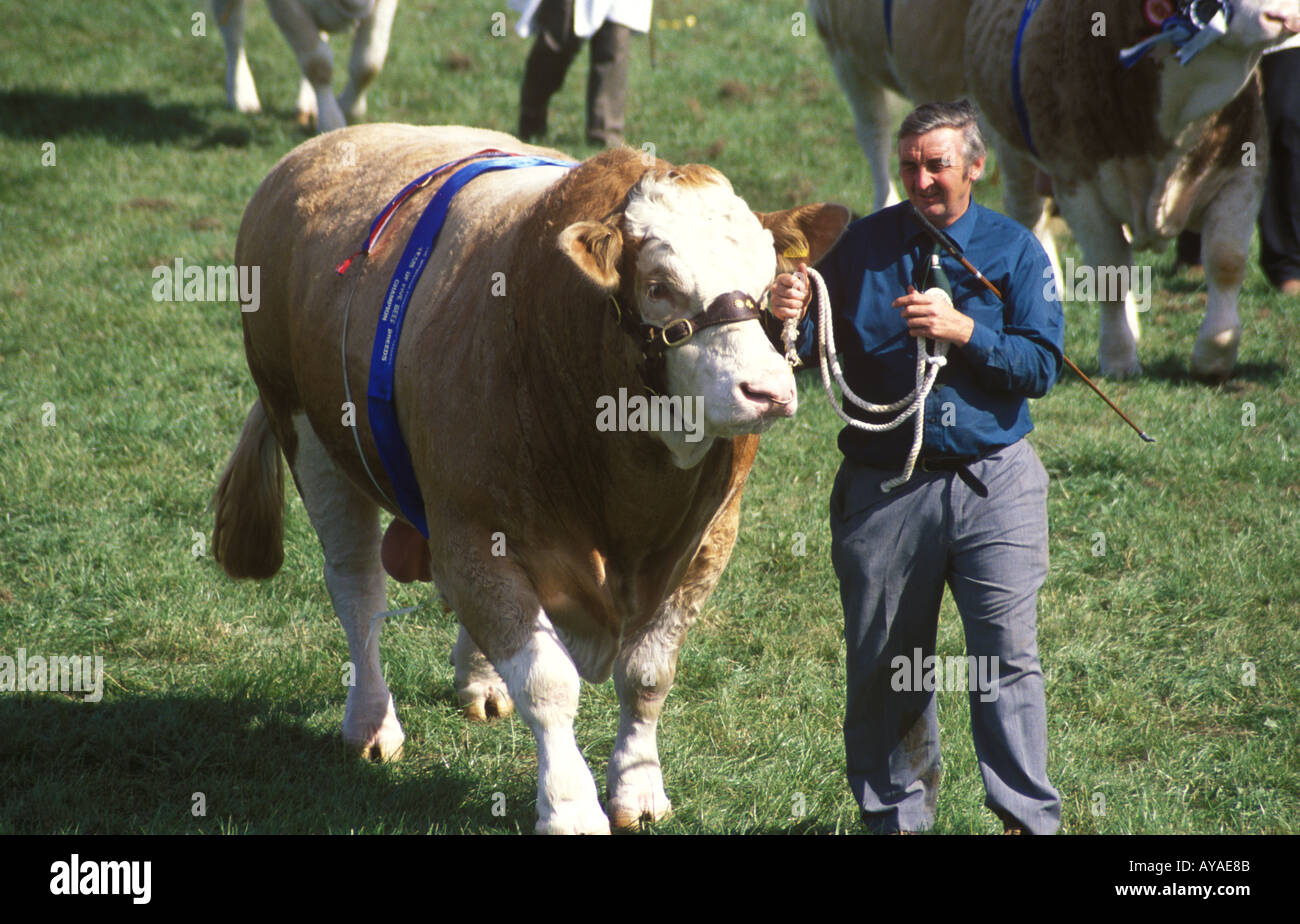 Agricultural county country show livestock farming farmers hi-res stock ...