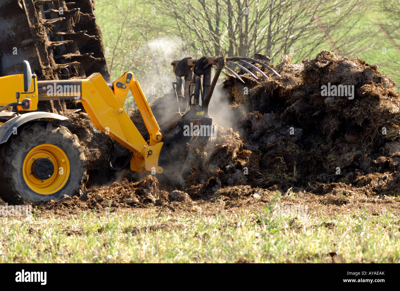 Muck spreading, Cambs, UK Stock Photo - Alamy
