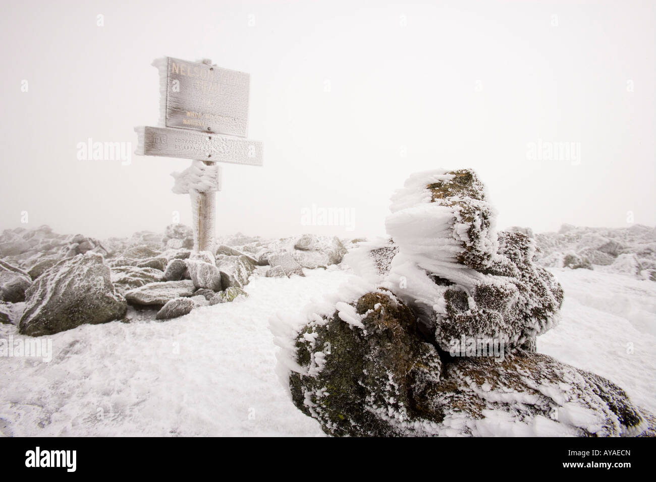 Rime ice covers the rocks and a trail sign on Mount Washington in New ...