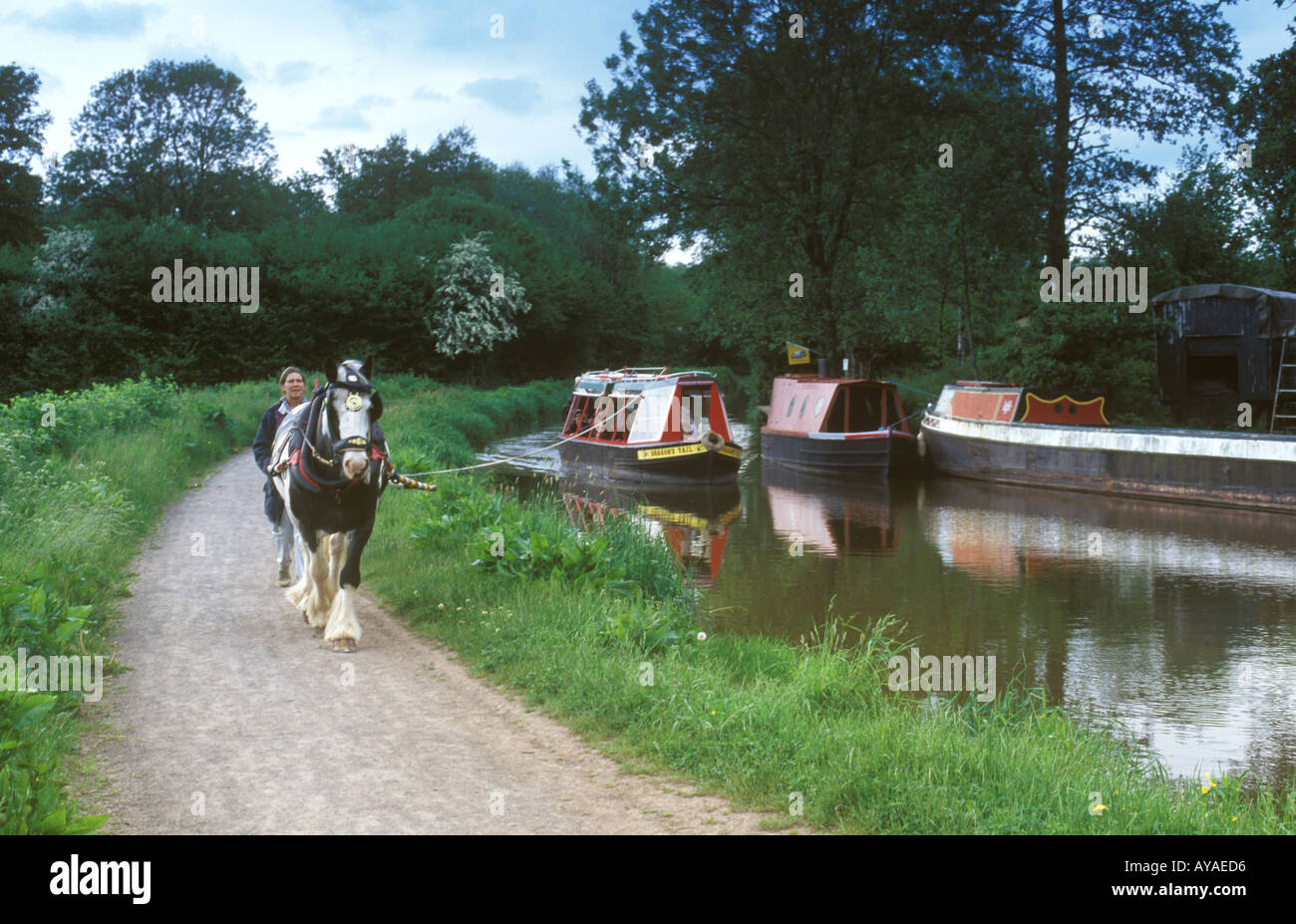 Horse Drawn Barge Brecon and Monmouth Canal Llanfrynach Brecon Beacons ...