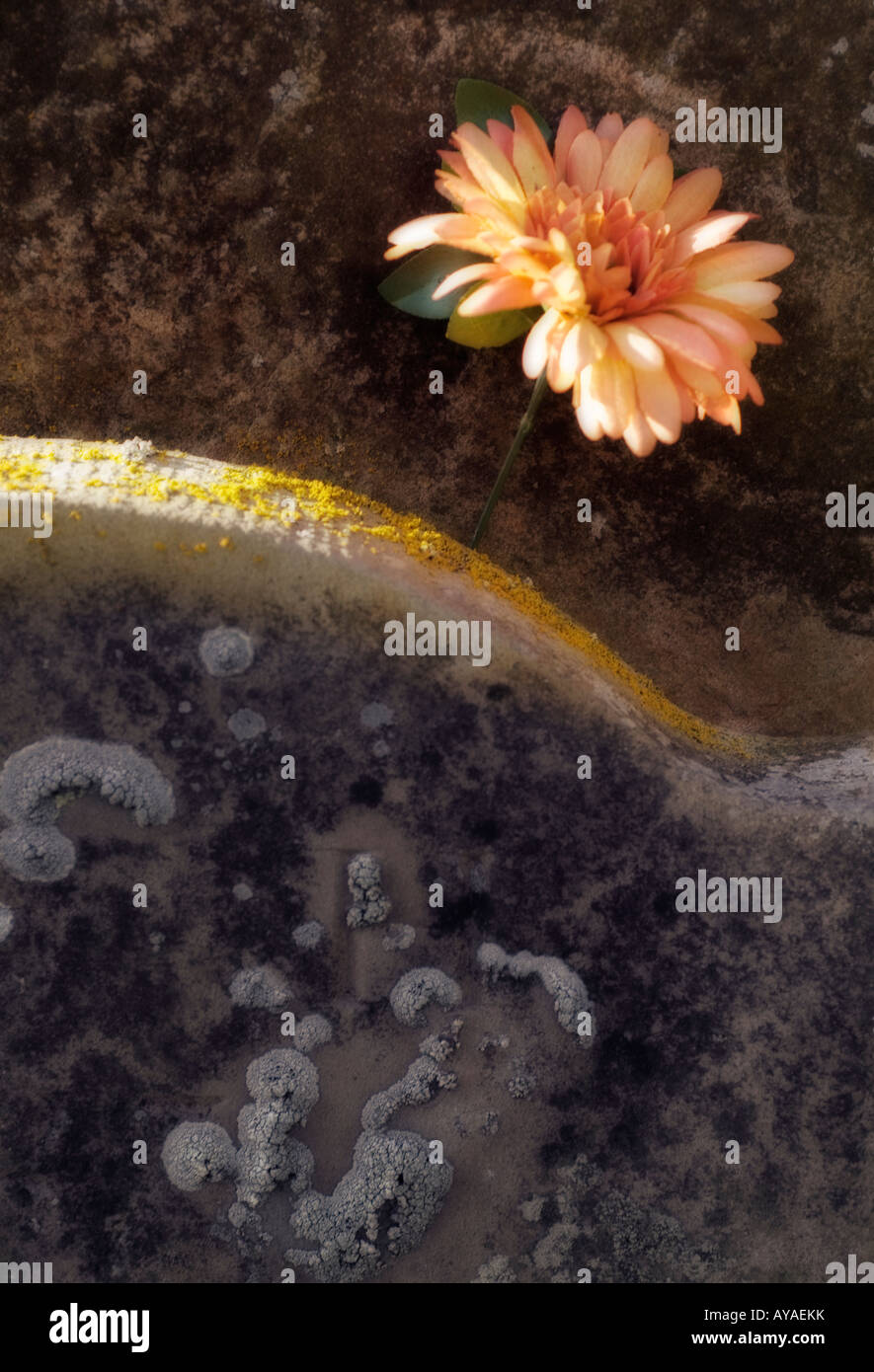 Elegiac atmosphere hi-res stock photography and images - Alamy