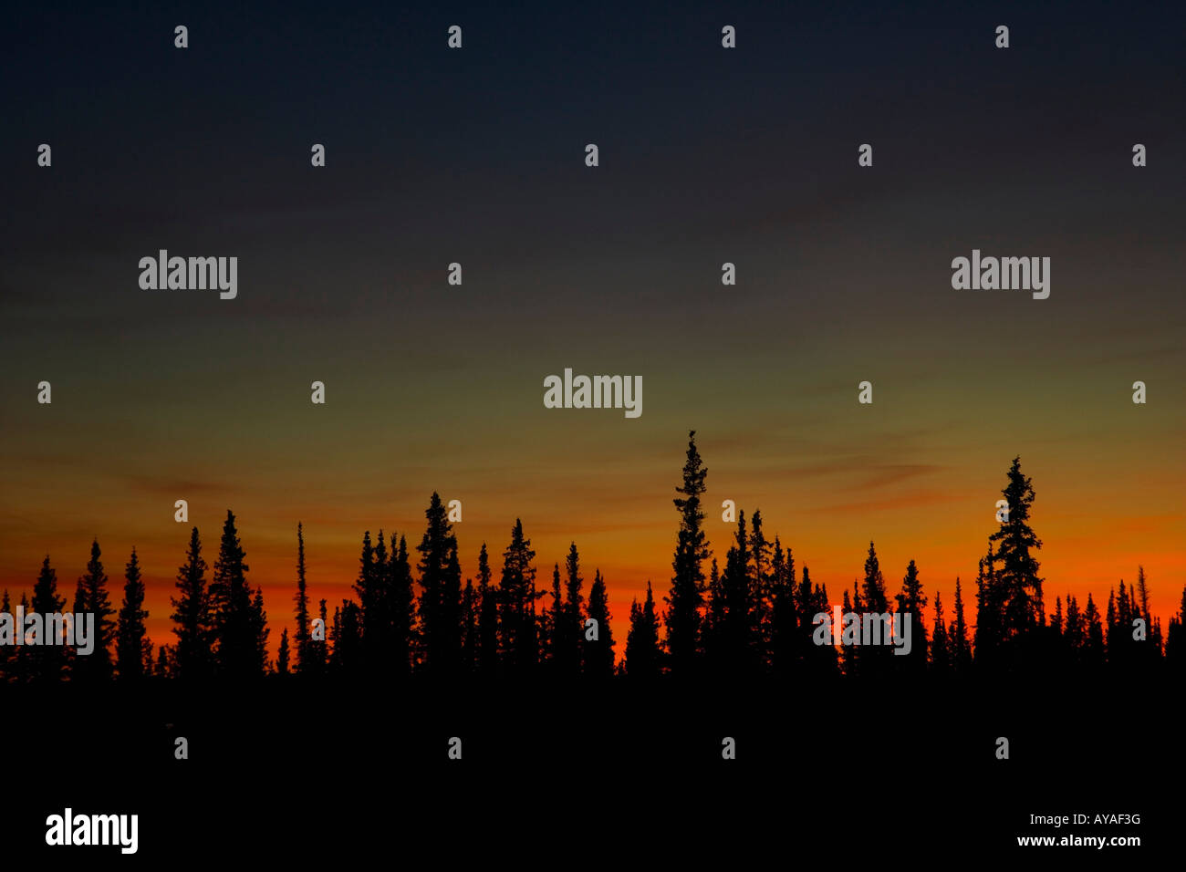 Nwt canada hi-res stock photography and images - Alamy