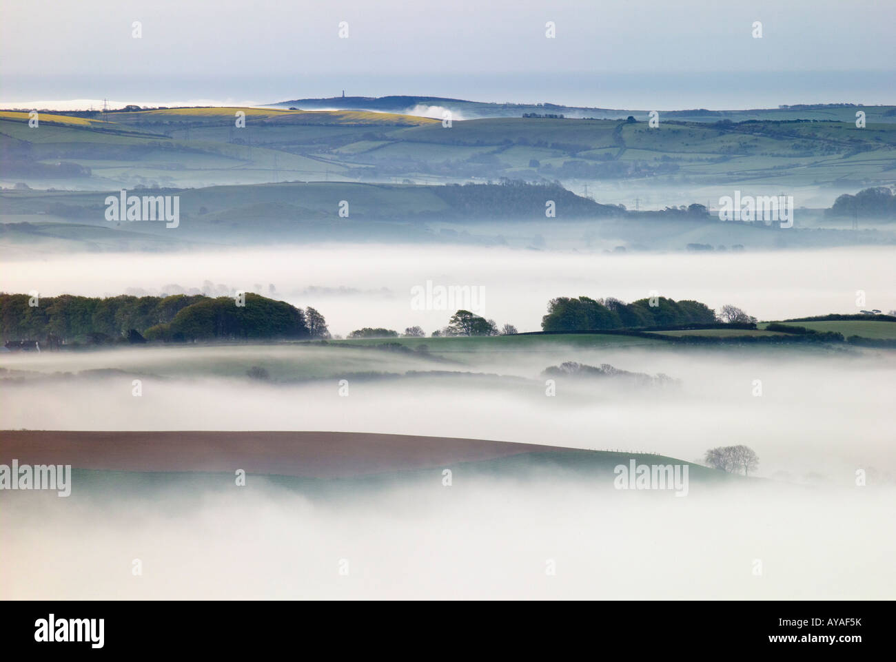 Mist over landscape near Dorchester Dorset, England Stock Photo - Alamy