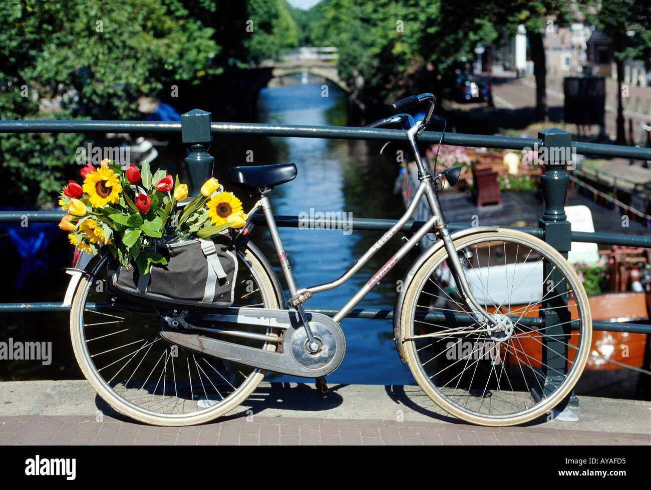 Amsterdam Bicycle Stock Photo - Alamy