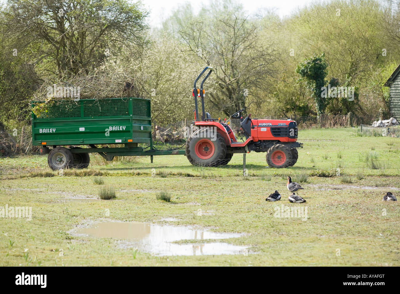 Small red Kubota tractor with Bailey trailer attached Stock Photo - Alamy