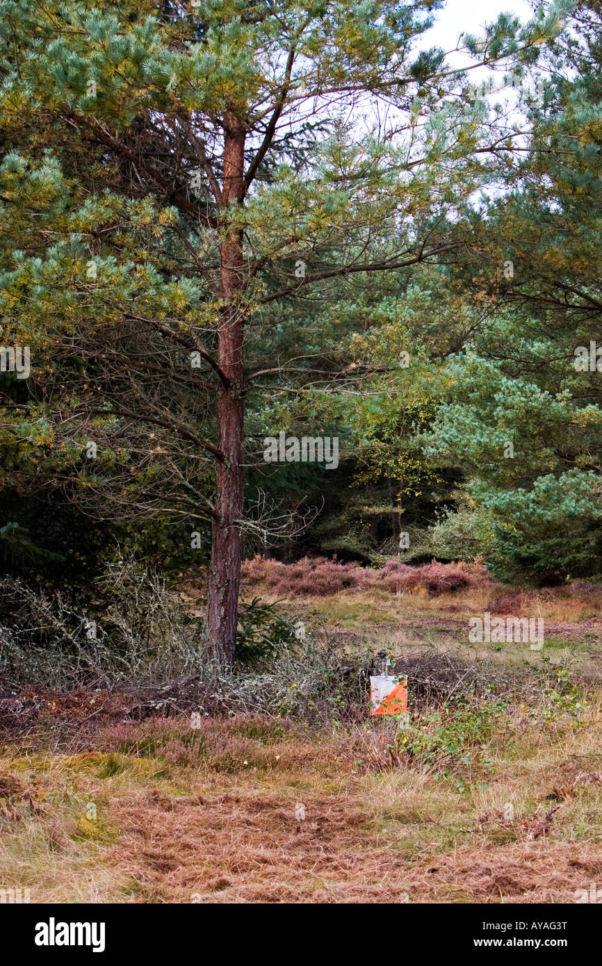 Orienteering course hi-res stock photography and images - Alamy