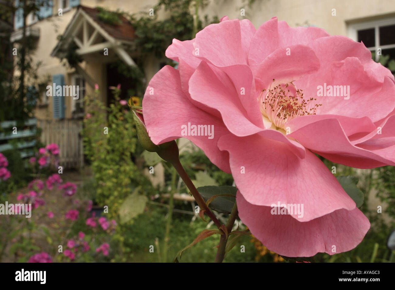 Garth garten hi-res stock photography and images - Alamy