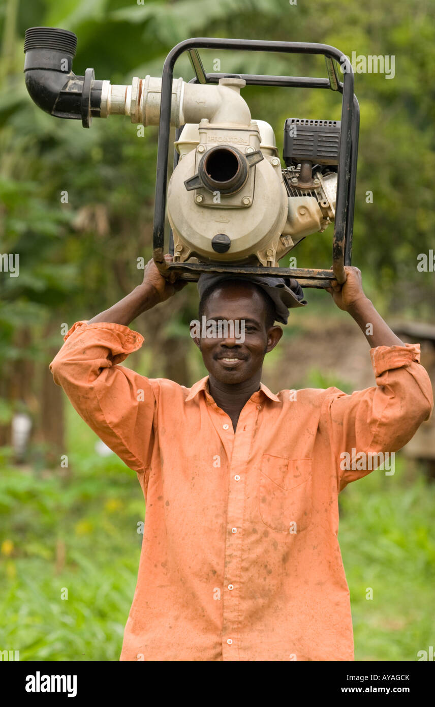 Farm worker carrying water pump on papaya plantation Ghana Stock Photo ...