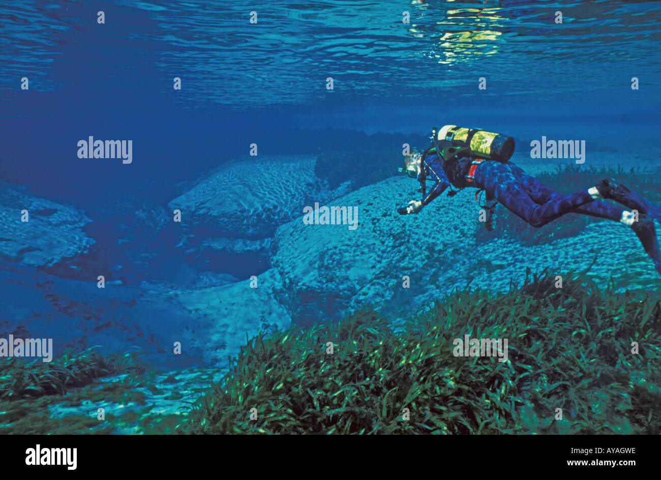 Florida spring diving Alexander Springs Stock Photo - Alamy