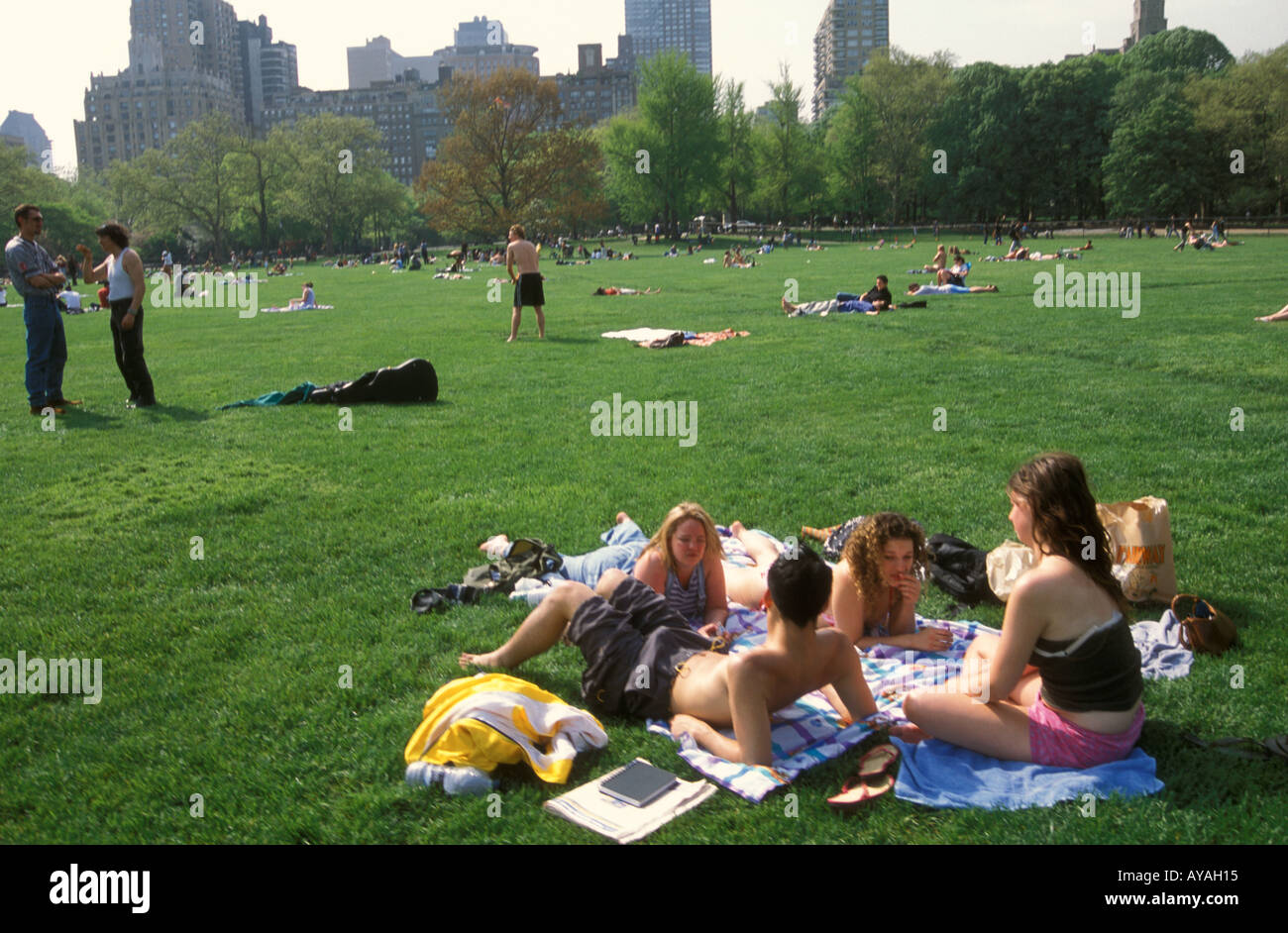 Sunbathers Central Park Manhattan New York City Stock Photo - Alamy
