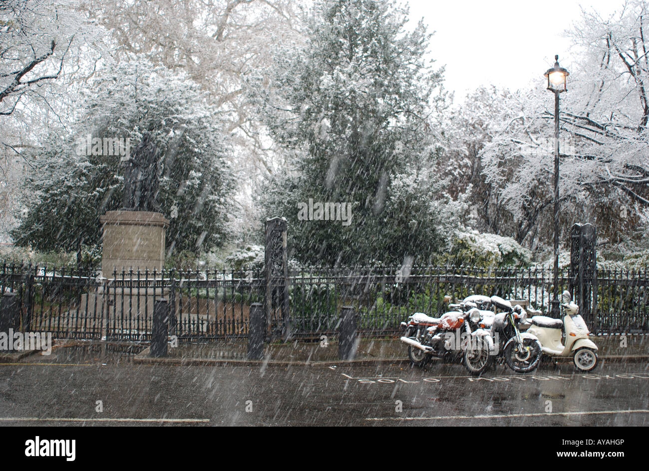 Falling snow in Spring Stock Photo - Alamy