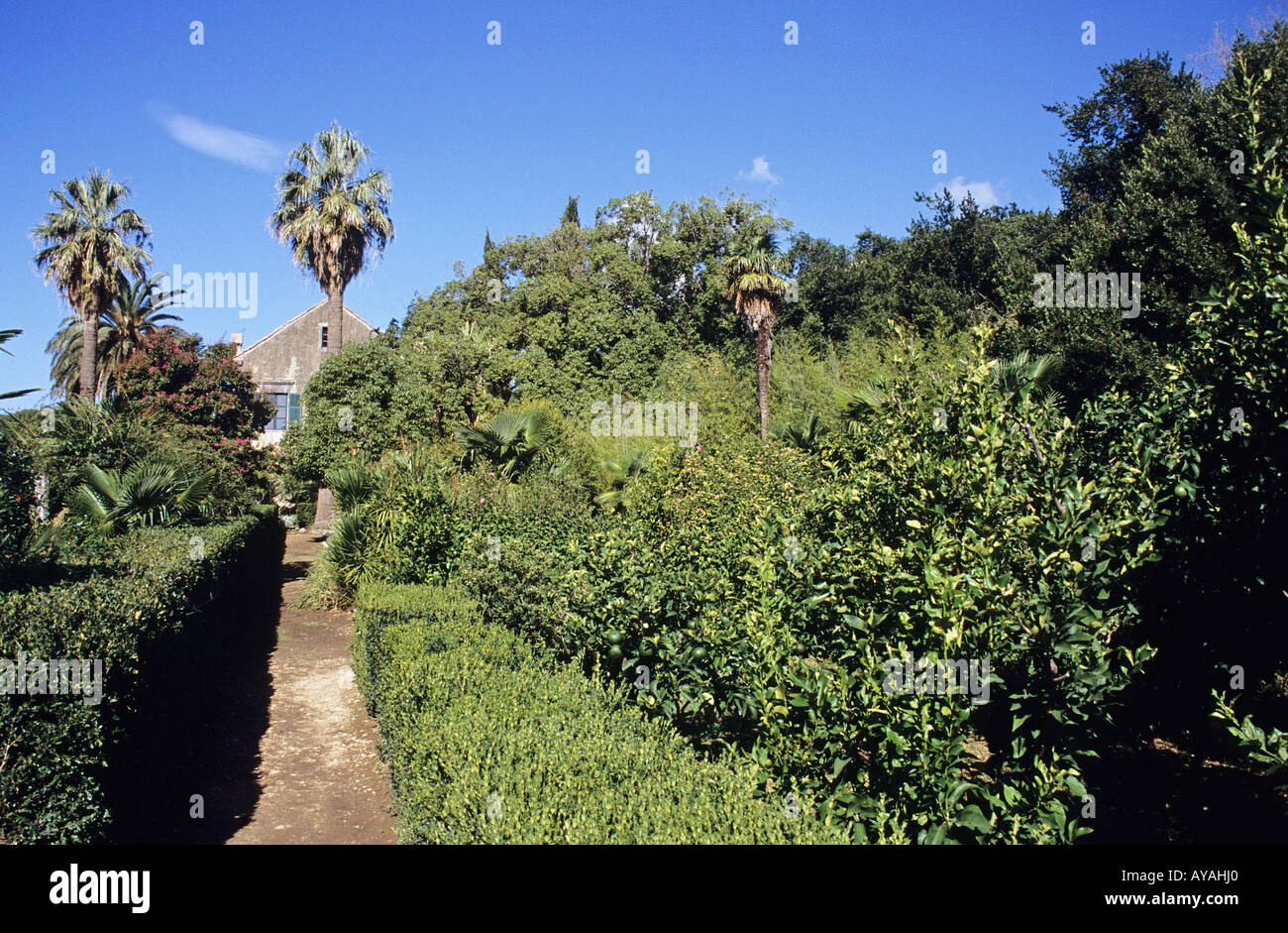 Path through the botanical gardens at Trsteno Arboretum Stock Photo - Alamy