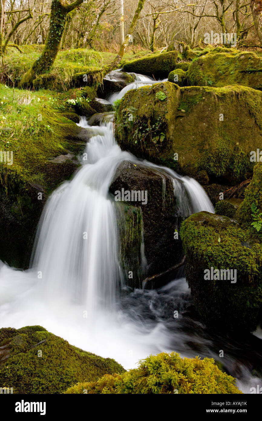 Babbling brook hi-res stock photography and images - Alamy