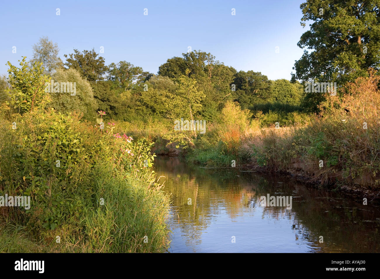 River yeo hi-res stock photography and images - Alamy