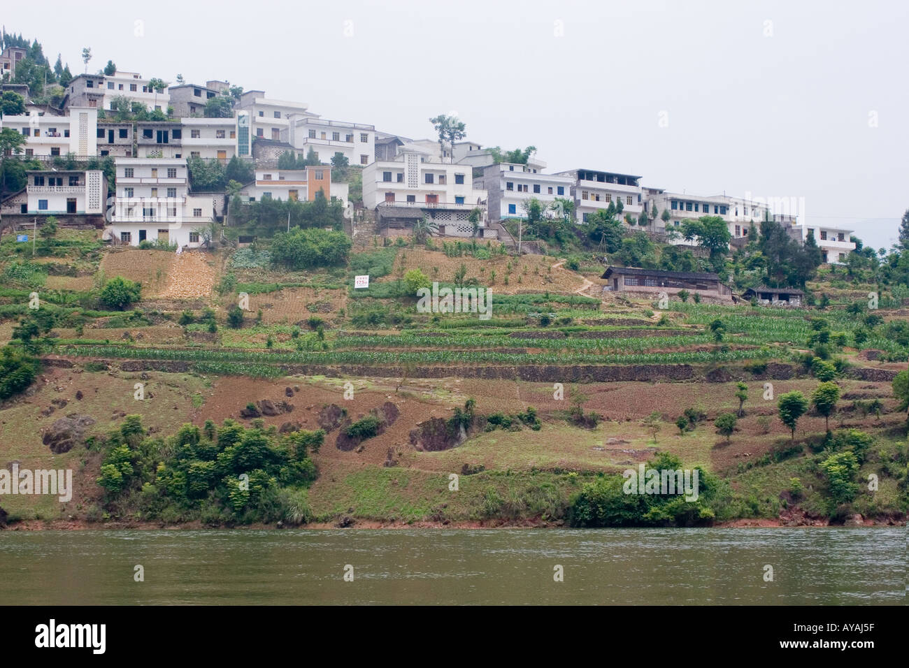 Chinese farmer fields corn hi-res stock photography and images - Alamy