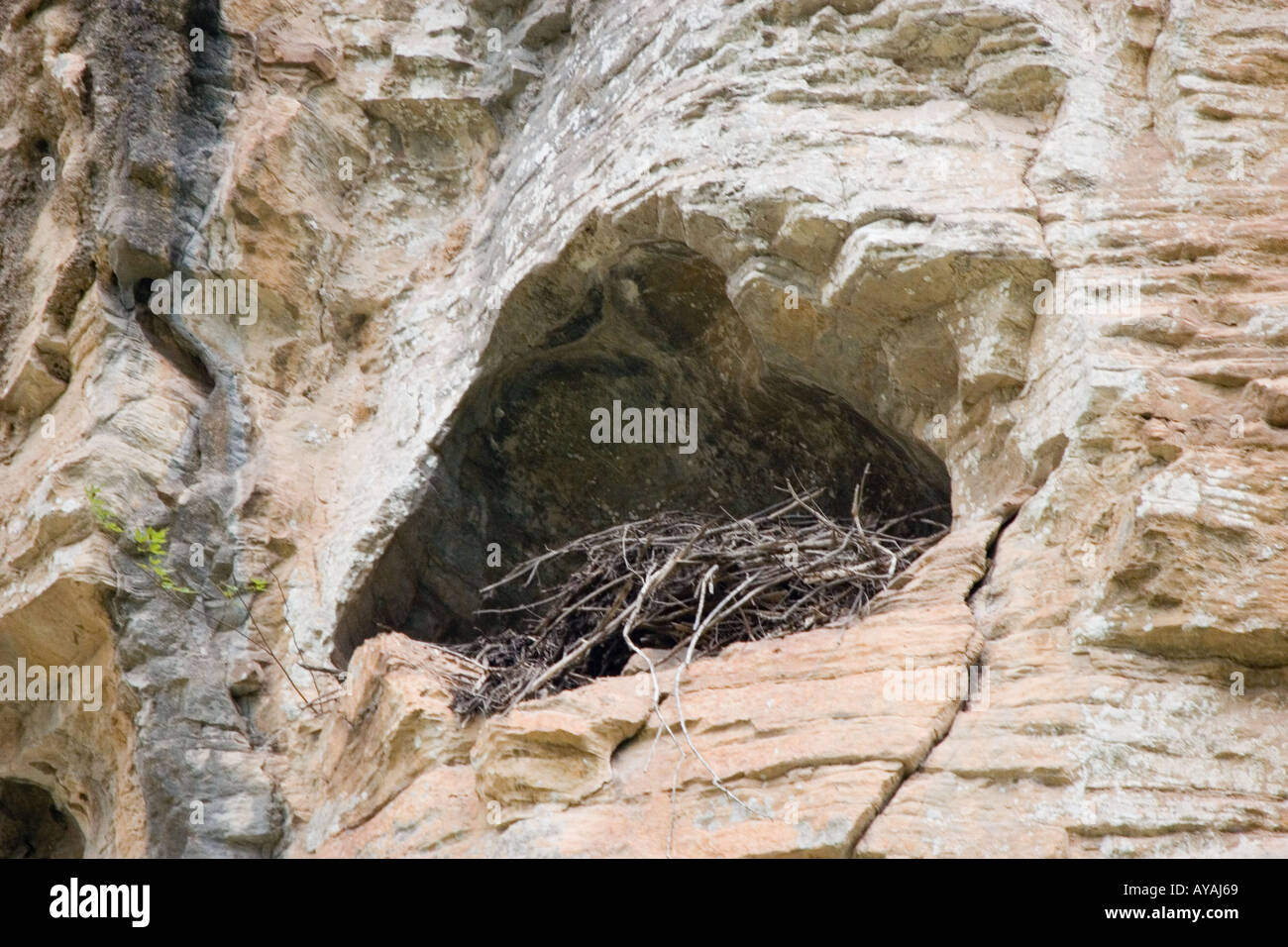 Bundle of sticks hold up ancient chinese coffin high over the Yangtze ...