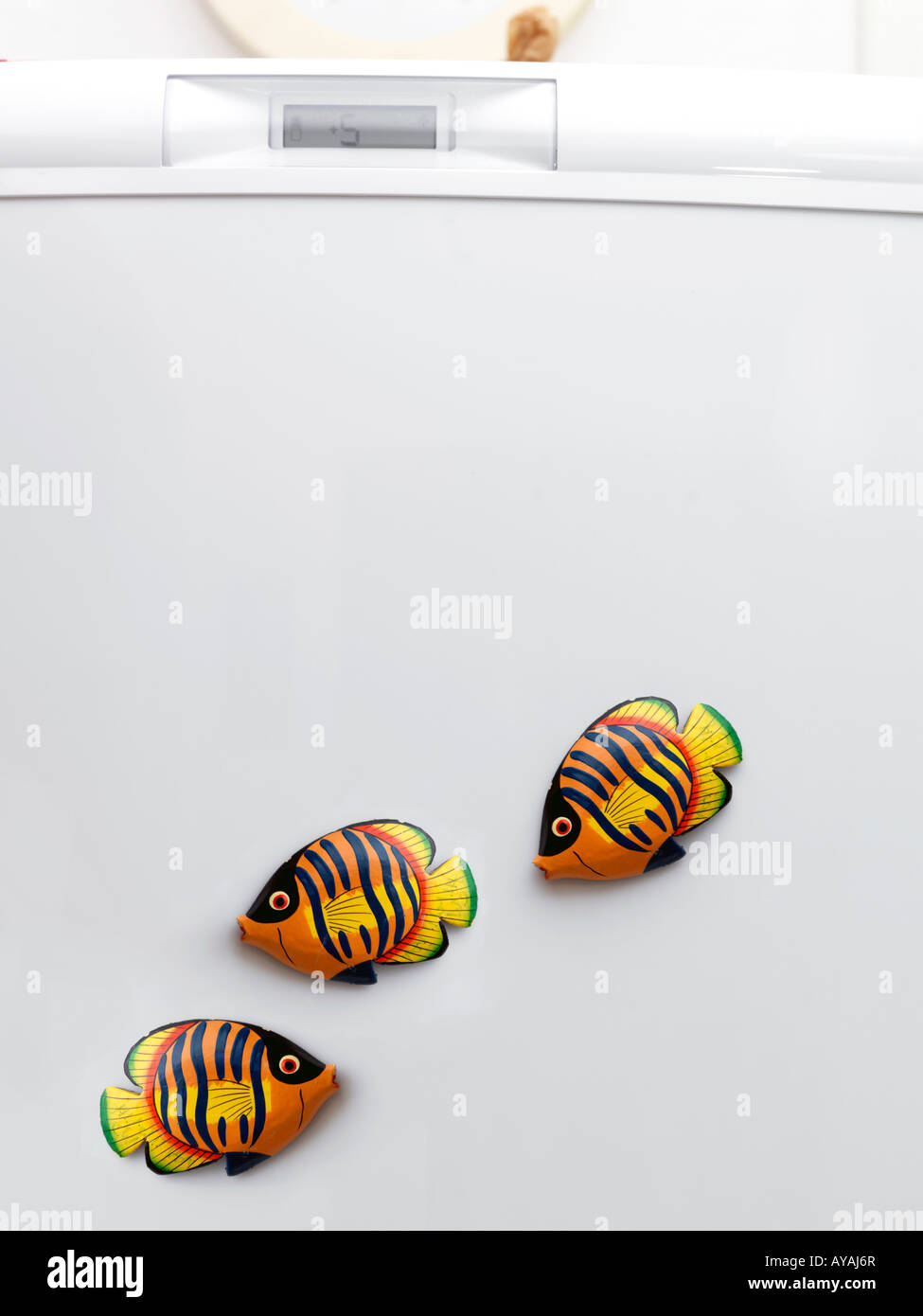 Fish fridge magnets hi-res stock photography and images - Alamy