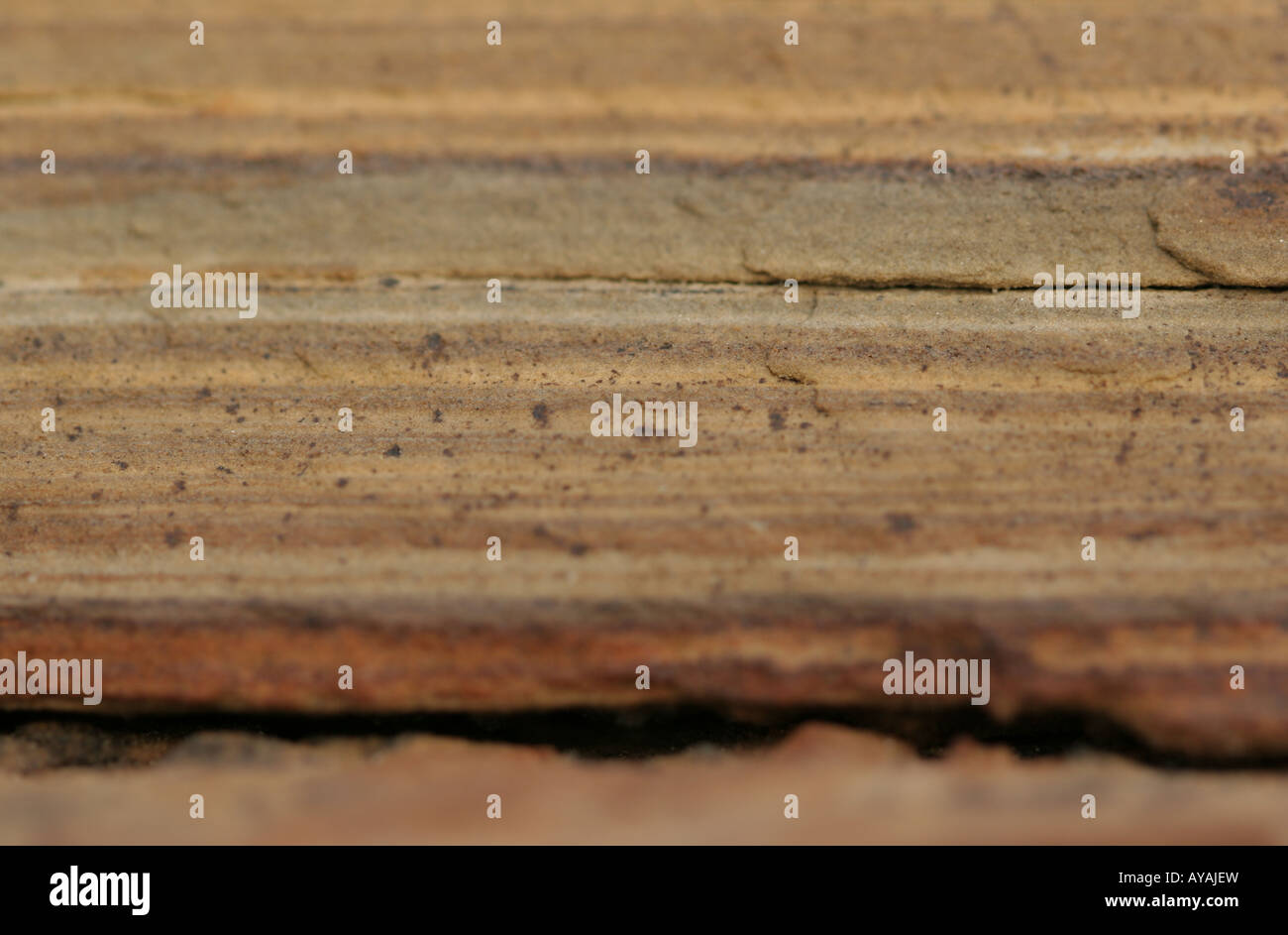 Detail of sandstone rock showing strata of layers Stock Photo - Alamy