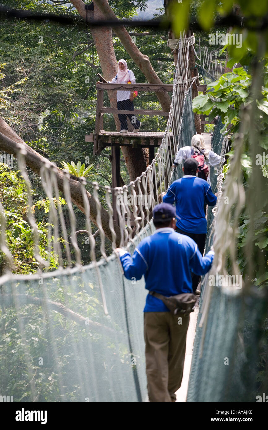 Malaysia Kuala Lumpur Rainforest Canopy walkway above trees and forest ...
