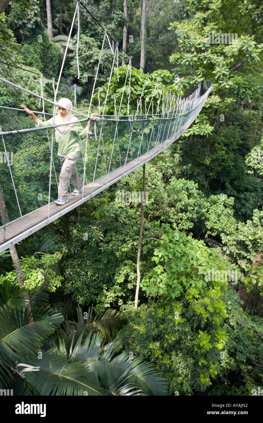 Malaysia Kuala Lumpur Rainforest Canopy walkway above trees and forest ...