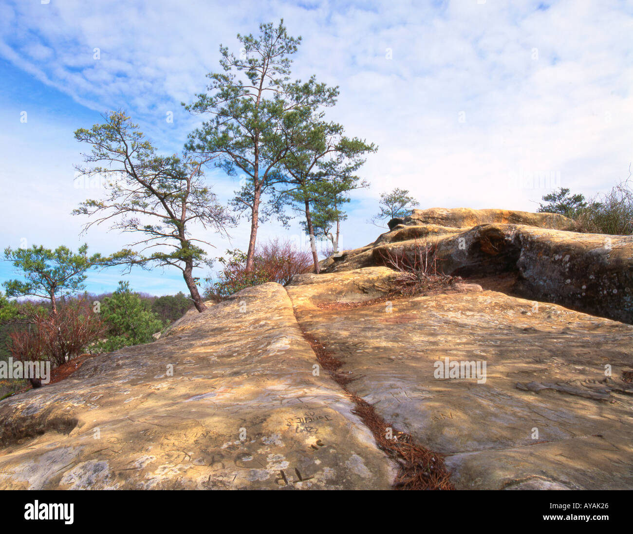 Half Moon Lookout in Red River Gorge, Kentucky Stock Photo - Alamy