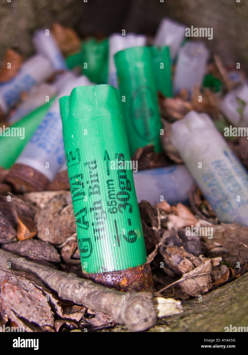 Empty shotgun shells hi-res stock photography and images - Alamy