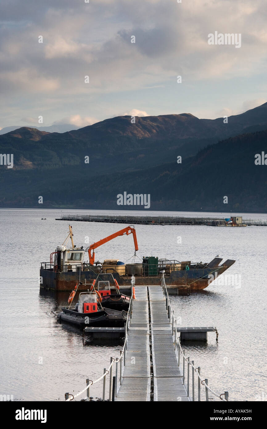 Fishnish ferry terminal, Isle of Mull, Scotland Stock Photo - Alamy