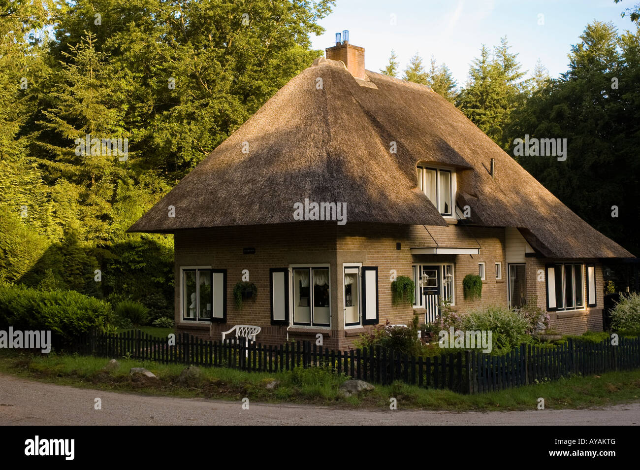 lovely reed thatched cottage in morning light Stock Photo - Alamy