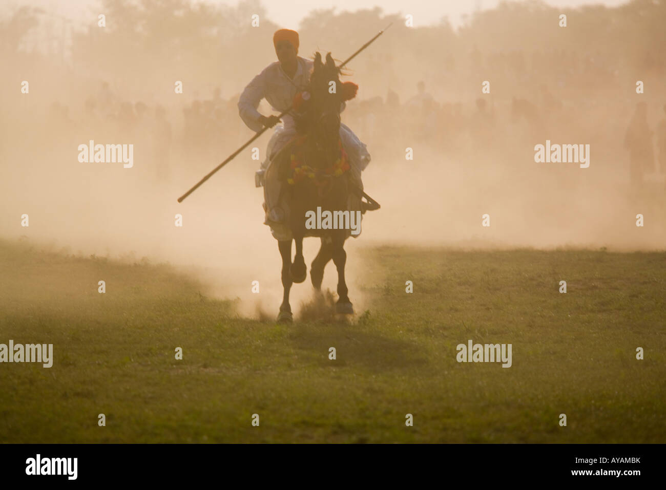Charging horse hi-res stock photography and images - Alamy