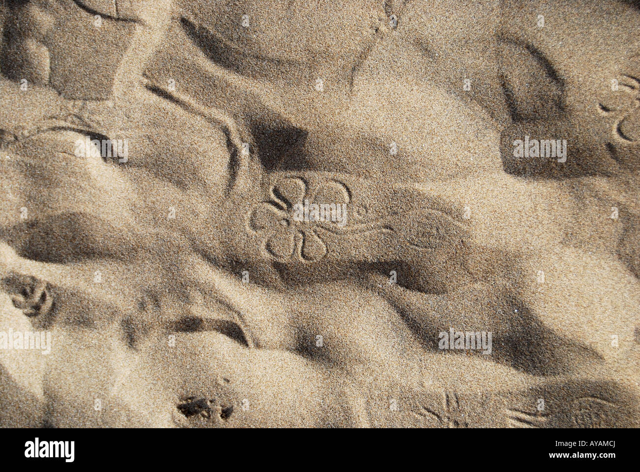 Walked on beach hi-res stock photography and images - Alamy