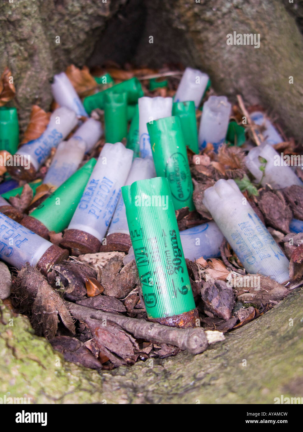 Empty shotgun shells hi-res stock photography and images - Alamy