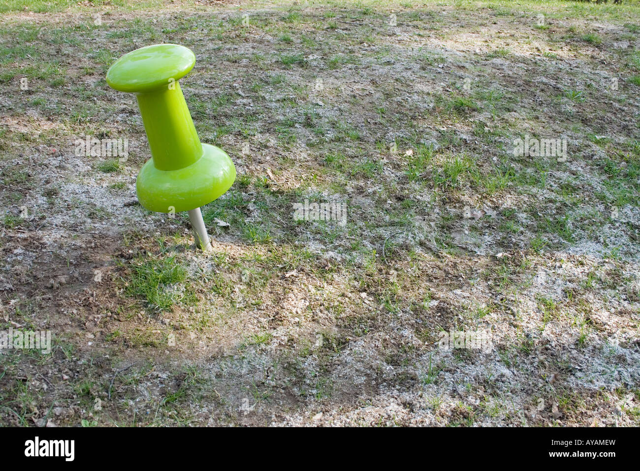 Green pin at the grass Stock Photo - Alamy